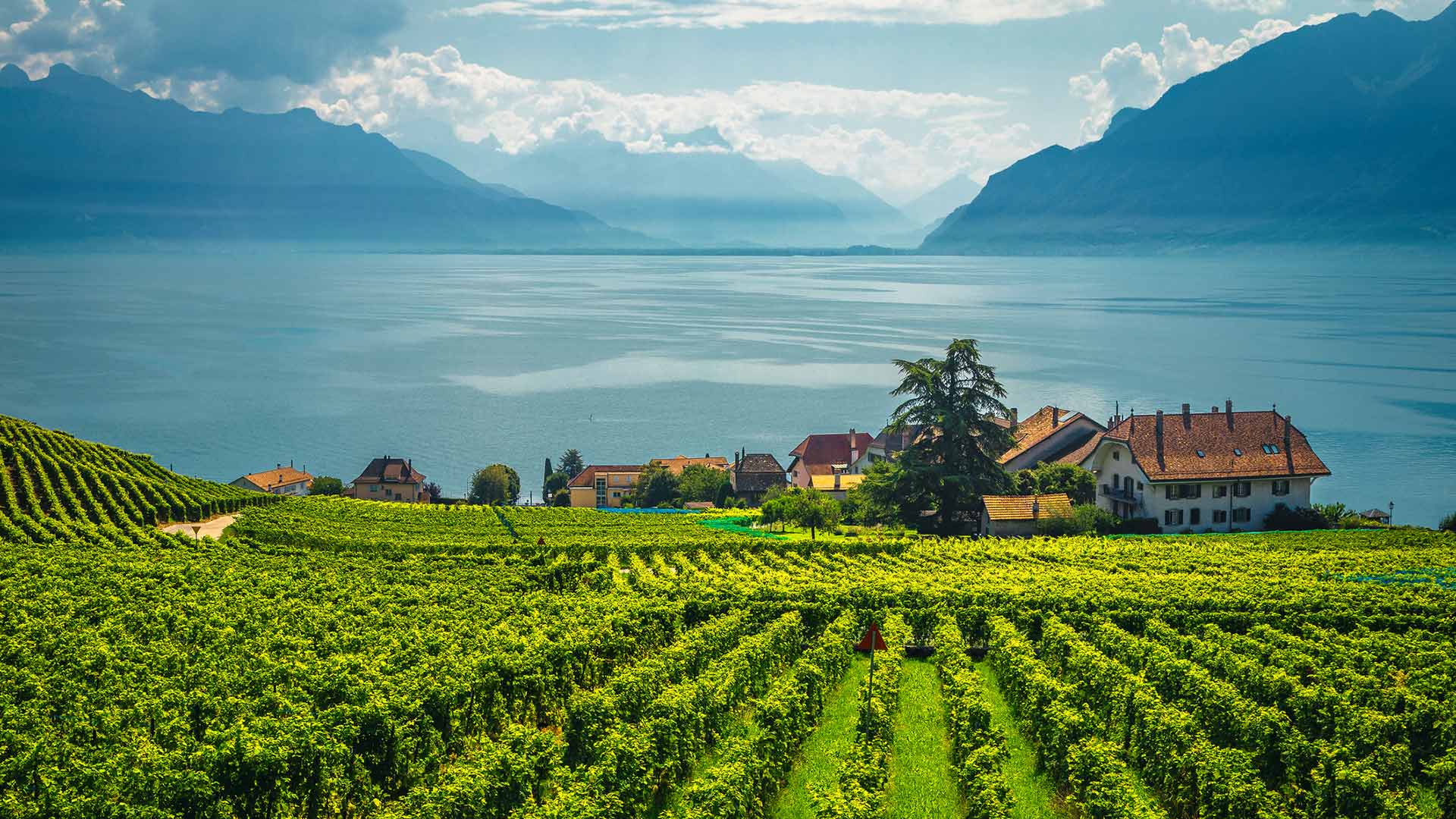 Home Page Air Mauritius - Mauritius : Air Mauritius