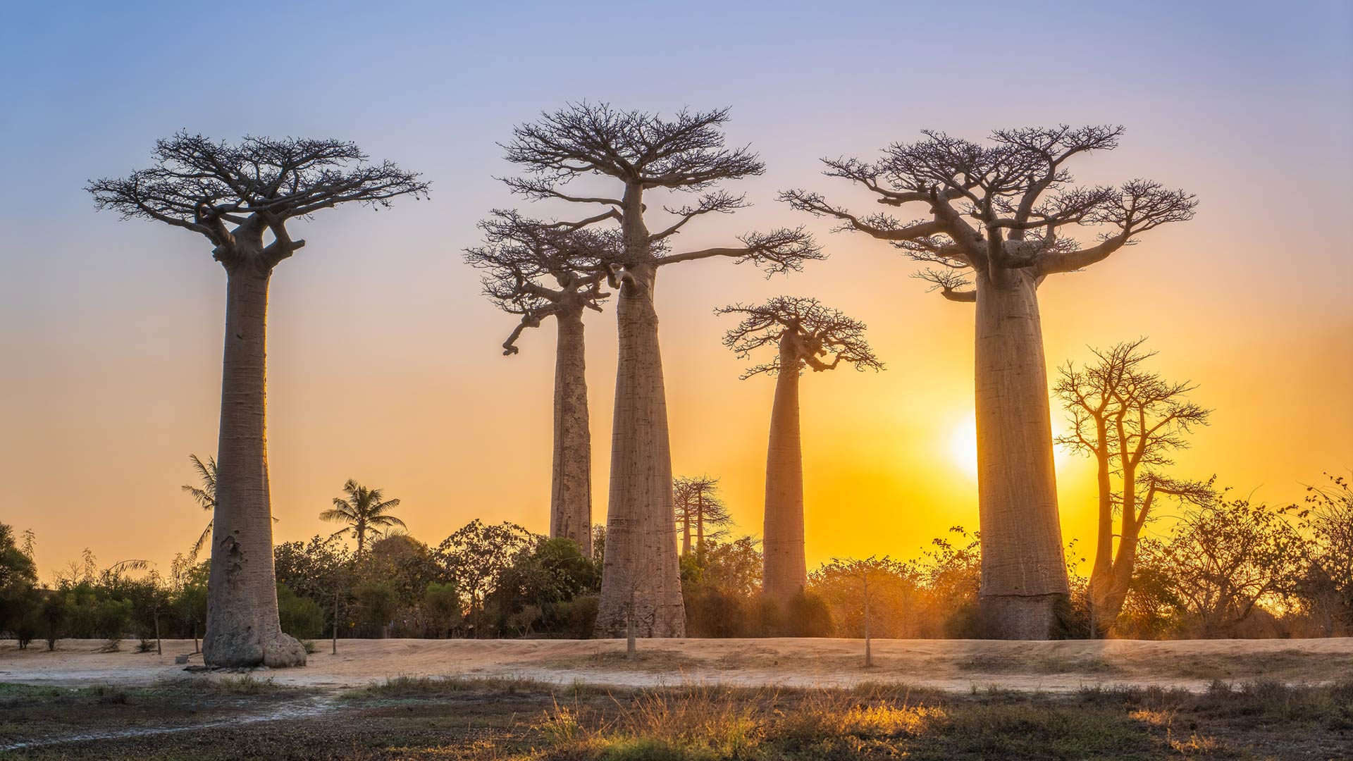 Home Page Air Mauritius - Mauritius : Air Mauritius